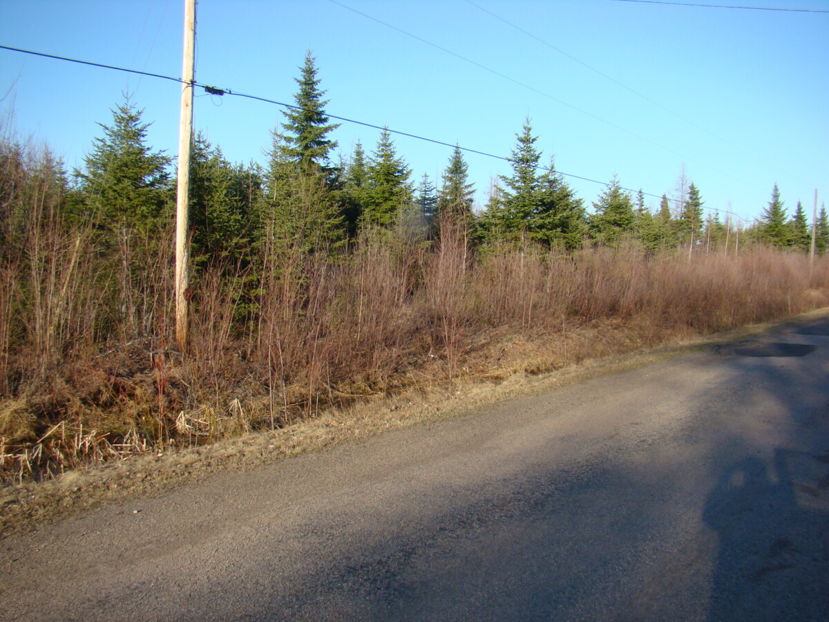 Cox Point, Queens County, NB - Old Crow Land Company