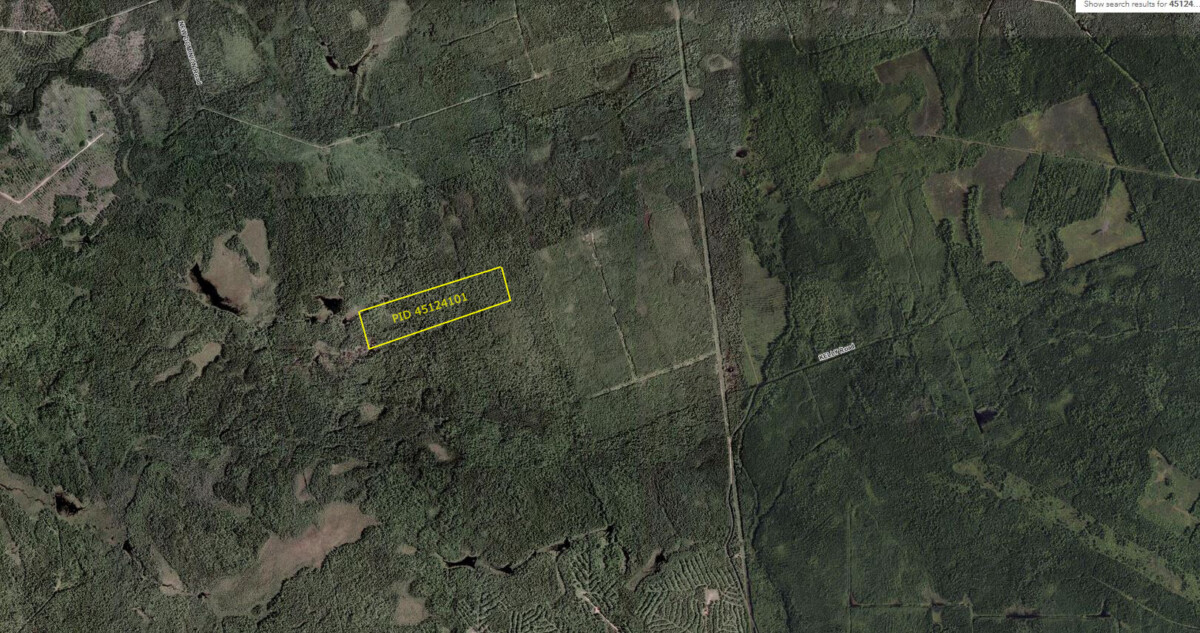 60-Acre Woodlot For Sale Near Coles Island - Old Crow Land Company